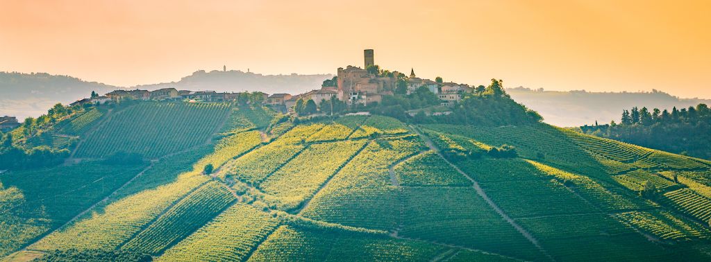 DMO Visit Piemonte | Tourism Hub